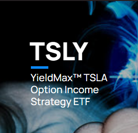 TSLY ETF 분석 (테슬라 ETF, 커버드콜 고배당, 배당율, 향후전망)